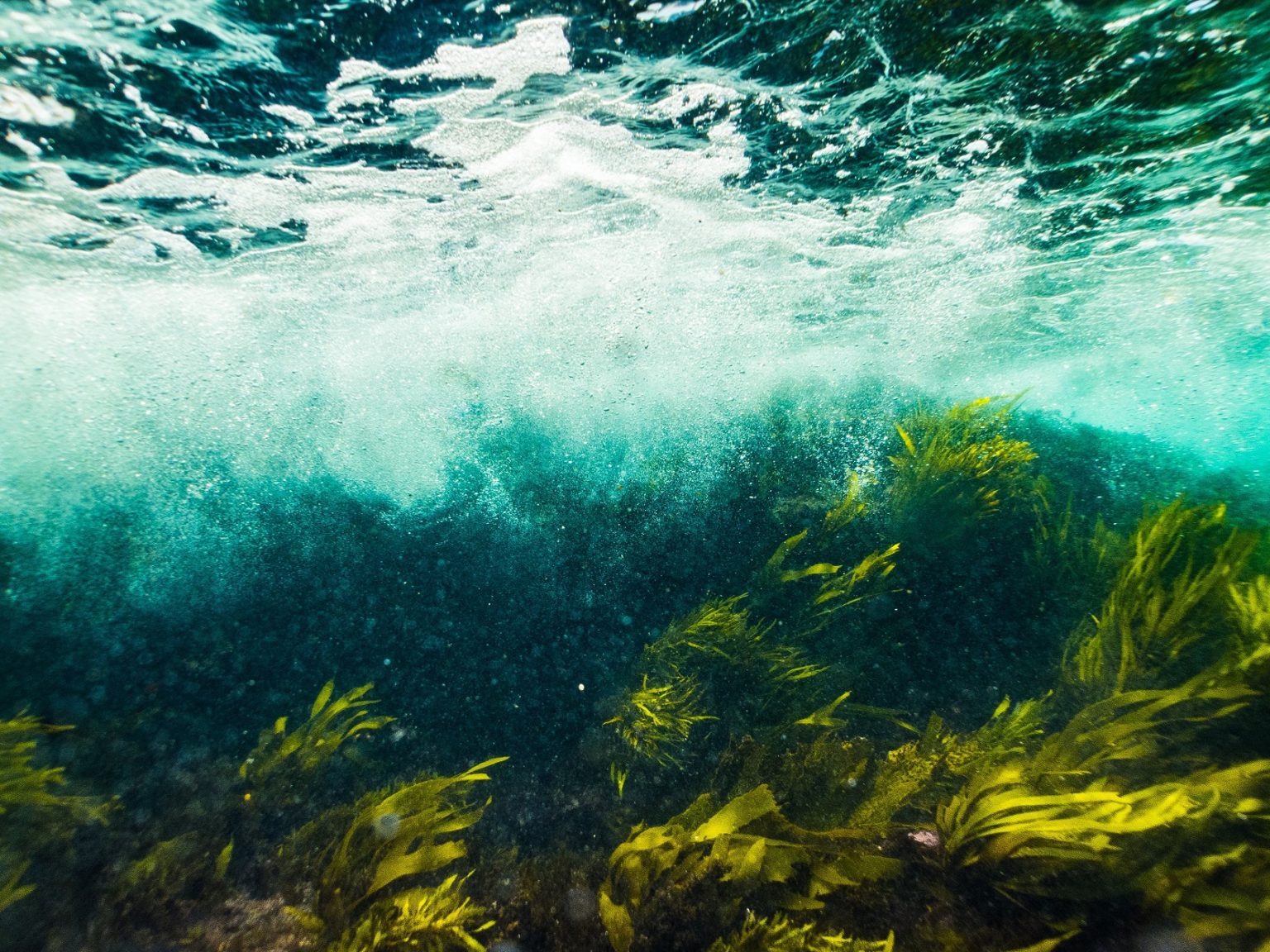 Oceanografía: El poder de conocer nuestros mares - La Buena Huella